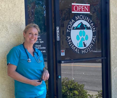Best Veterinary Hospital In Oak View, CA | Topa Mountain AH