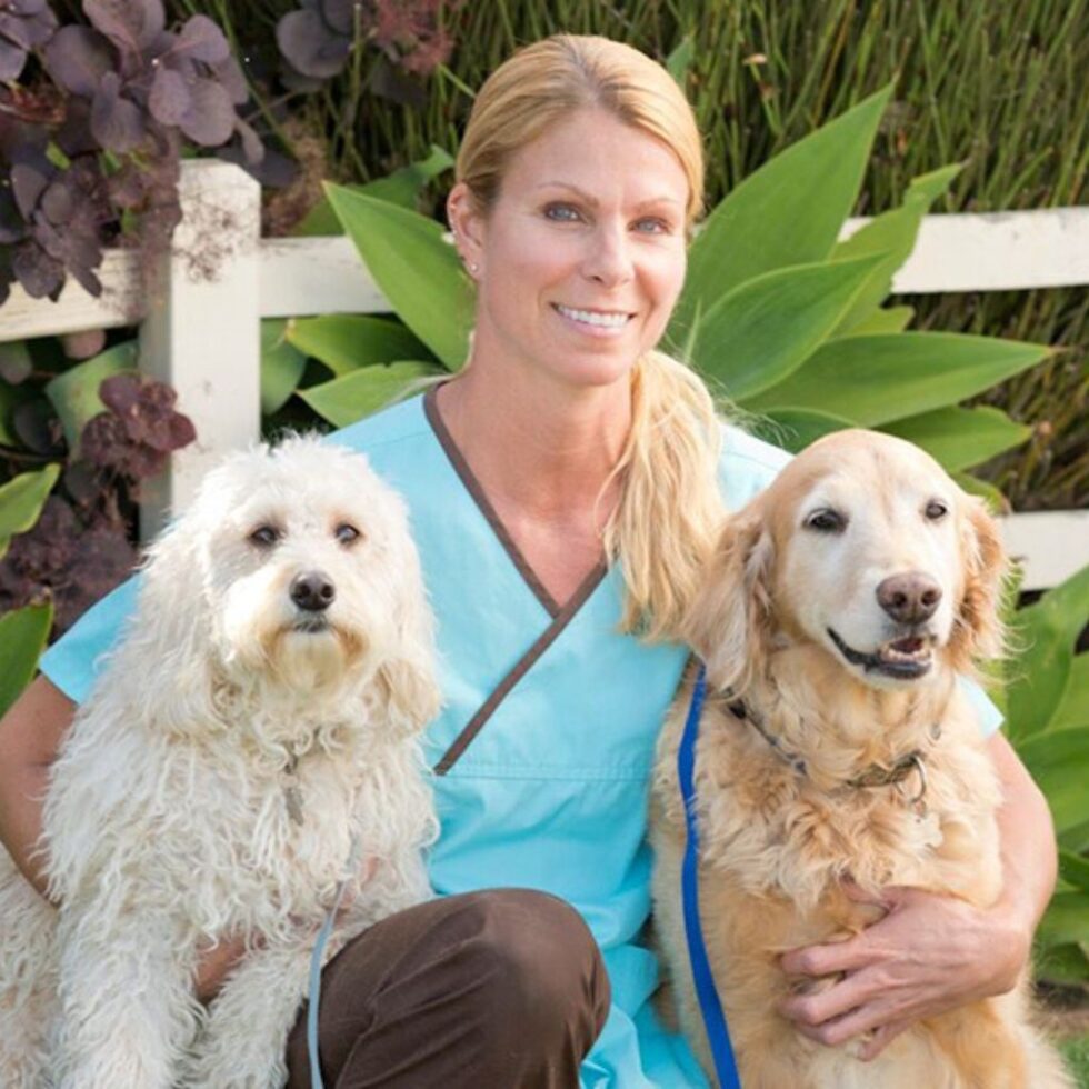 Veterinarian In Oak View, CA | Topa Mountain Animal Hospital